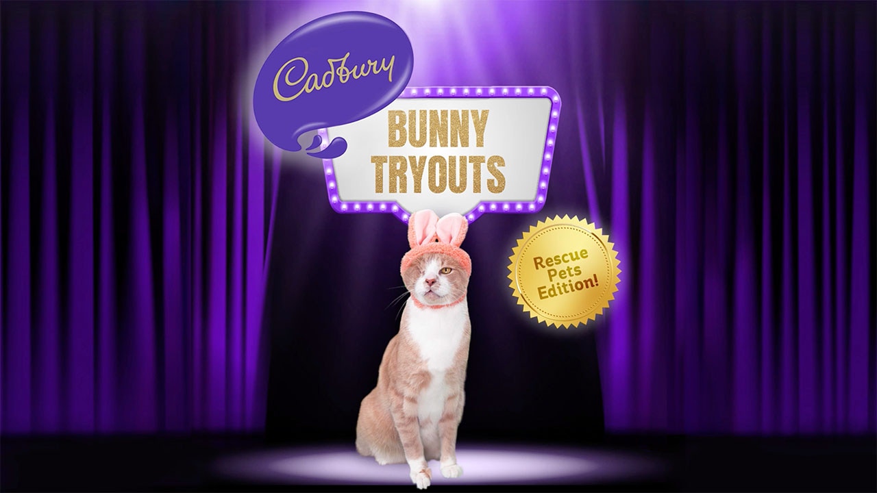 CADBURY Chocolate | Shop Premium Chocolate Bars and Candy